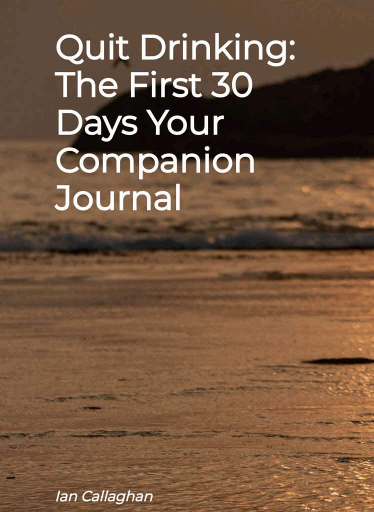 Quit Drinking: The First 30 Days Your Companion Journal - Sober Beyond Limits | Rewire Your Mind ...